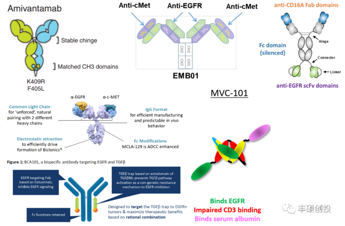EGFR ADC药物征战NSCLC